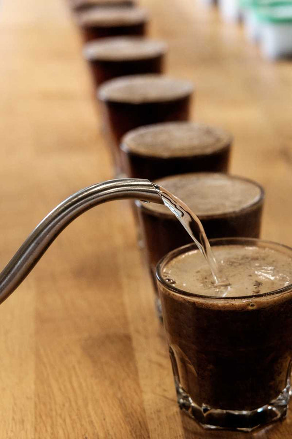 Coffee: Brewing Seminar in Frankfurt - Hoppenworth & Ploch